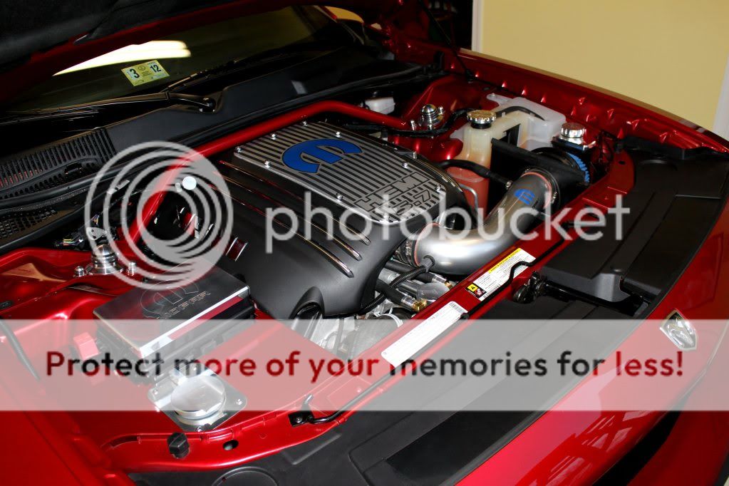 My Engine Bay revealed... | Dodge Challenger Forum