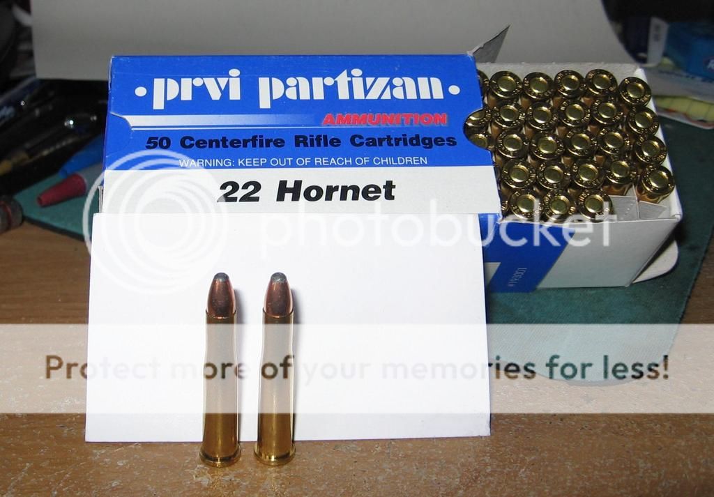 Heaviest Bullet for the Hornet? - 24hourcampfire